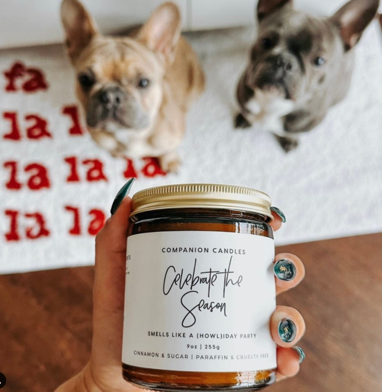 Eco-Friendly, Pet-Safe Candles & Gifts – Companion Candles
