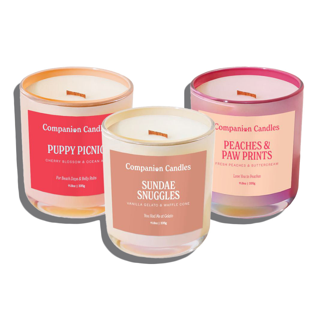 Pet-Friendly & Eco-Friendly Candles & Gifts – Companion Candles